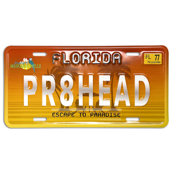 Embossed Aluminum Metal Standard License Plates | 5012-AT | AT-4C ...