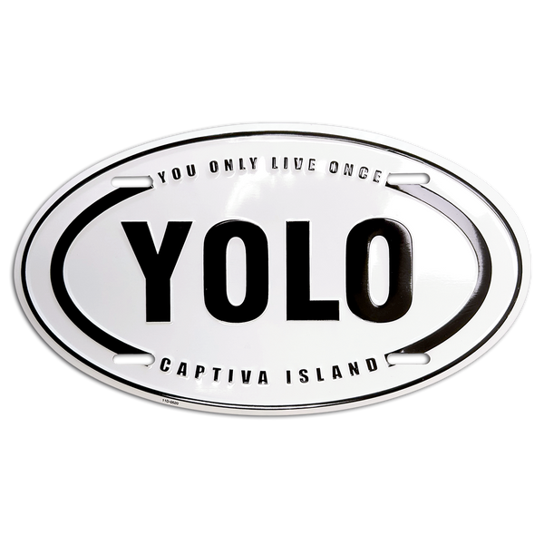 Embossed Aluminum Metal Oval License Plates | 5012-OV | OV-4C – Dixiline